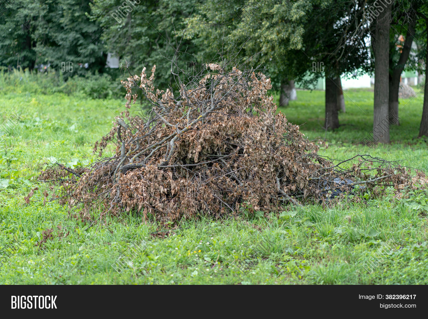 Large Pile Dry Image & Photo (Free Trial) | Bigstock