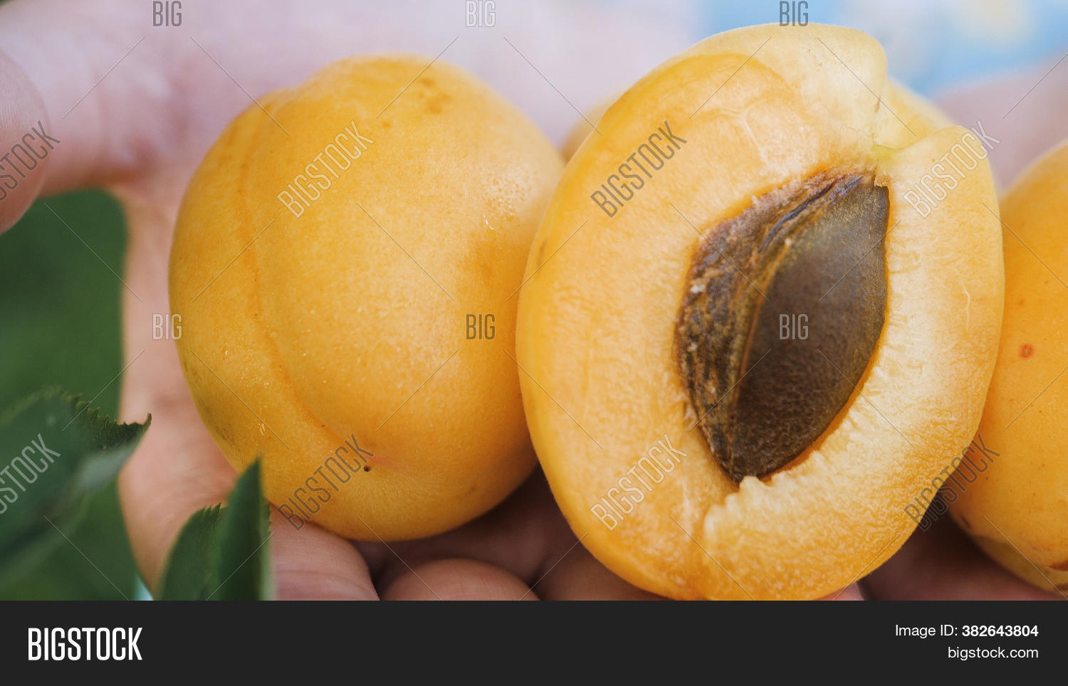 Apricot. Close- Shot Image & Photo (Free Trial) | Bigstock