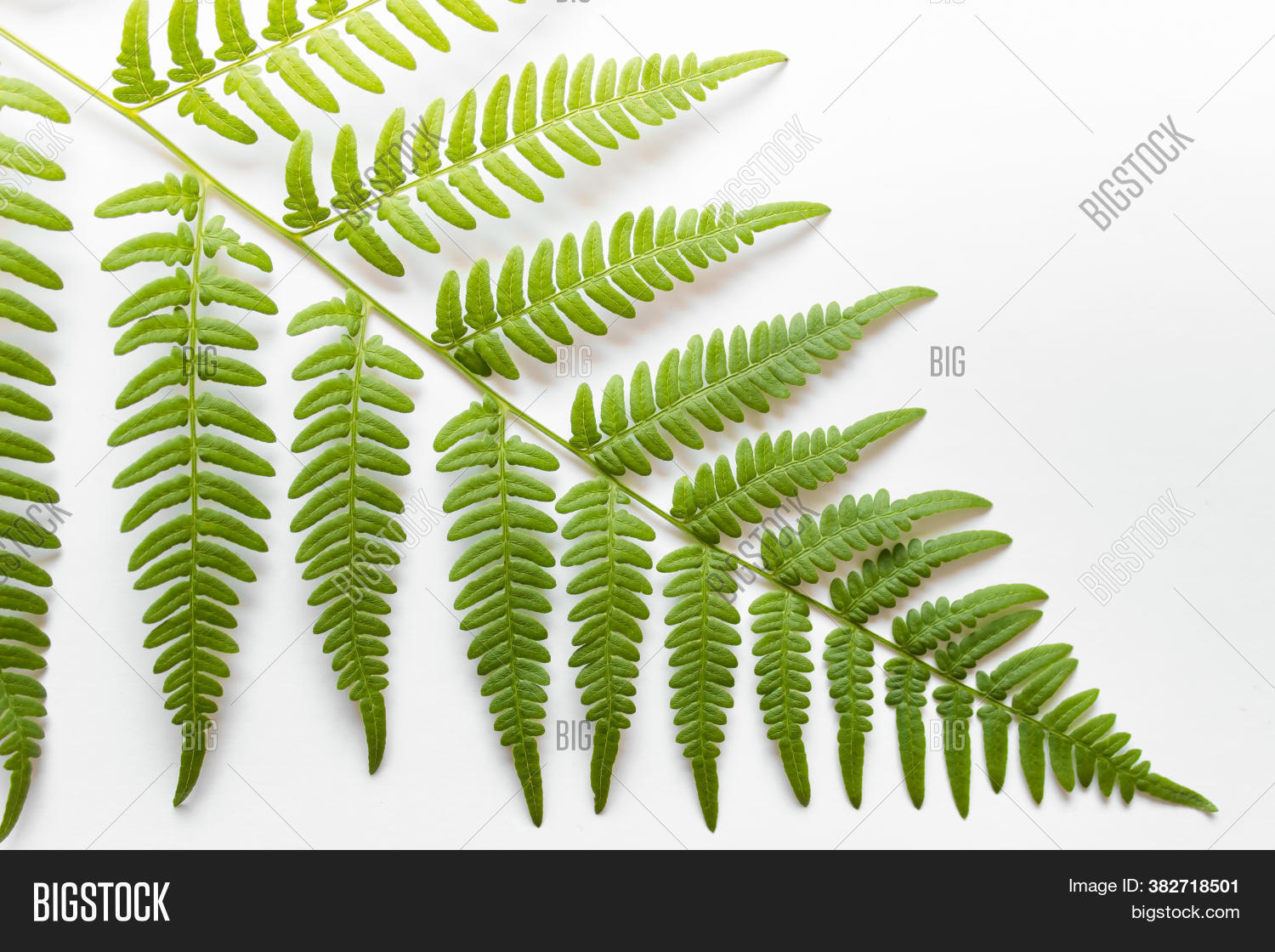 Diagonal Arrangement Image & Photo (Free Trial) | Bigstock