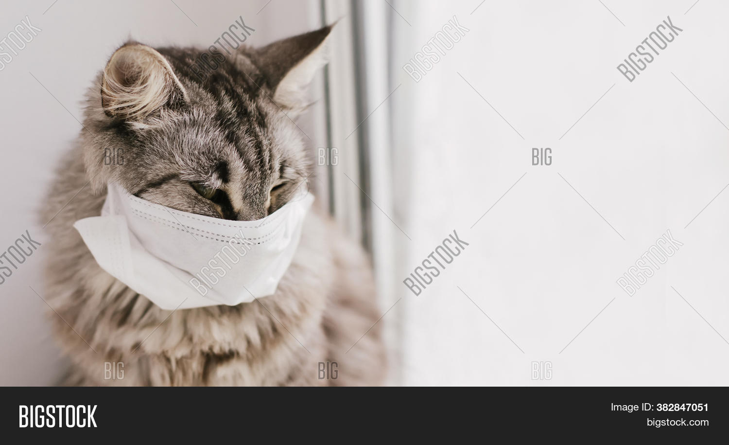 Protective Antiviral Image & Photo (Free Trial) | Bigstock