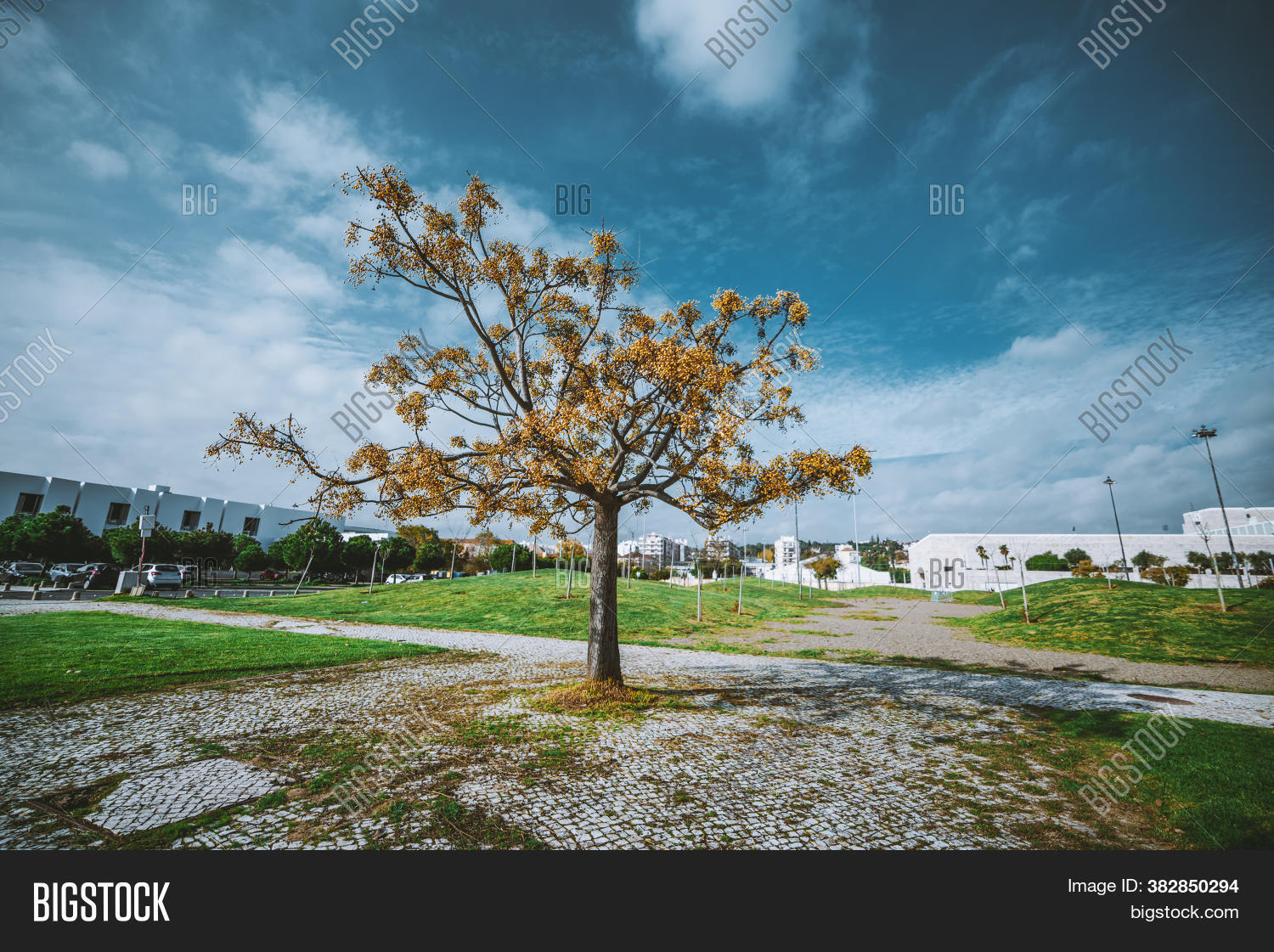 Wide-angle Shot Image & Photo (Free Trial) | Bigstock