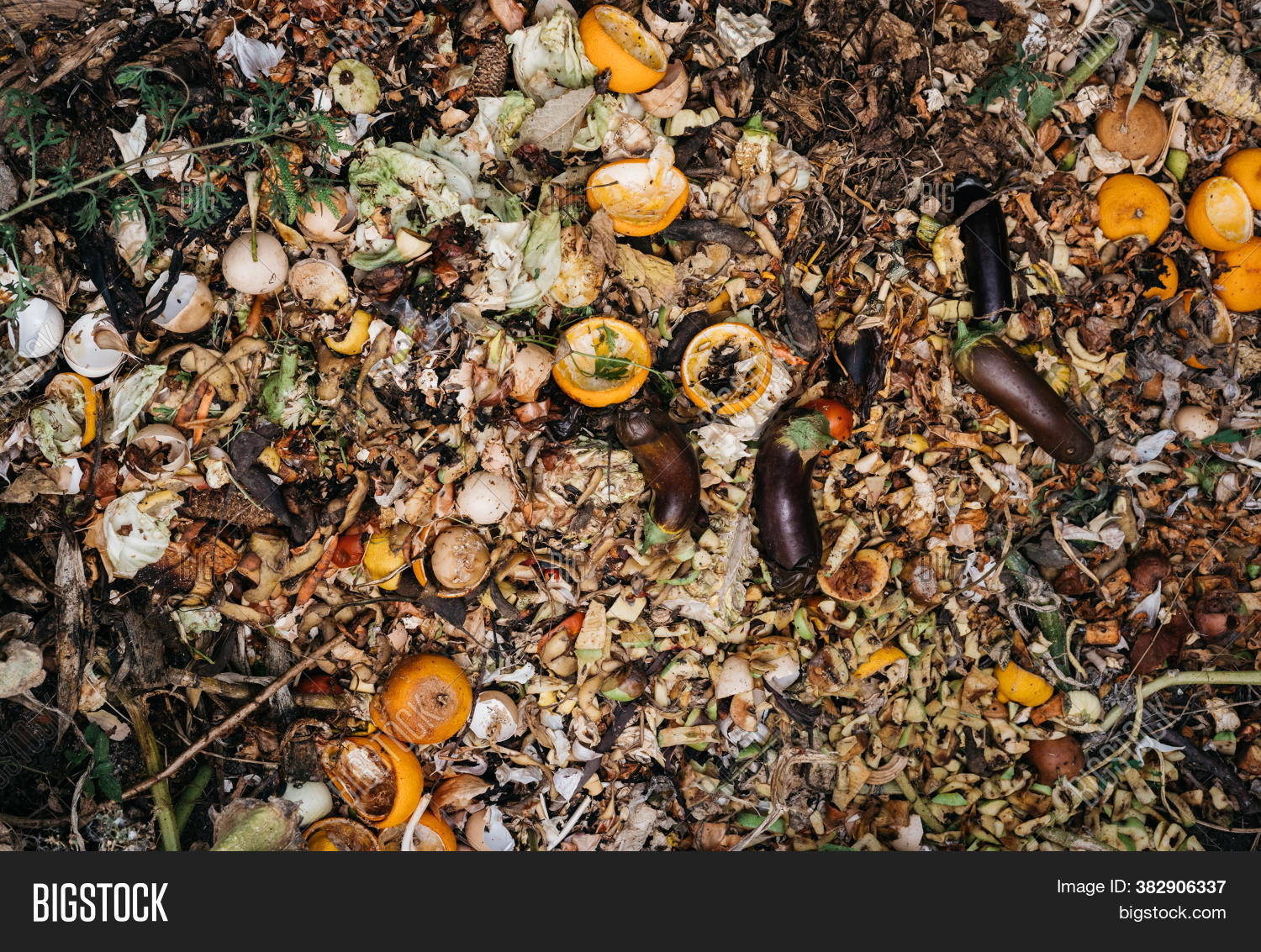 Household Waste Image & Photo (Free Trial) | Bigstock