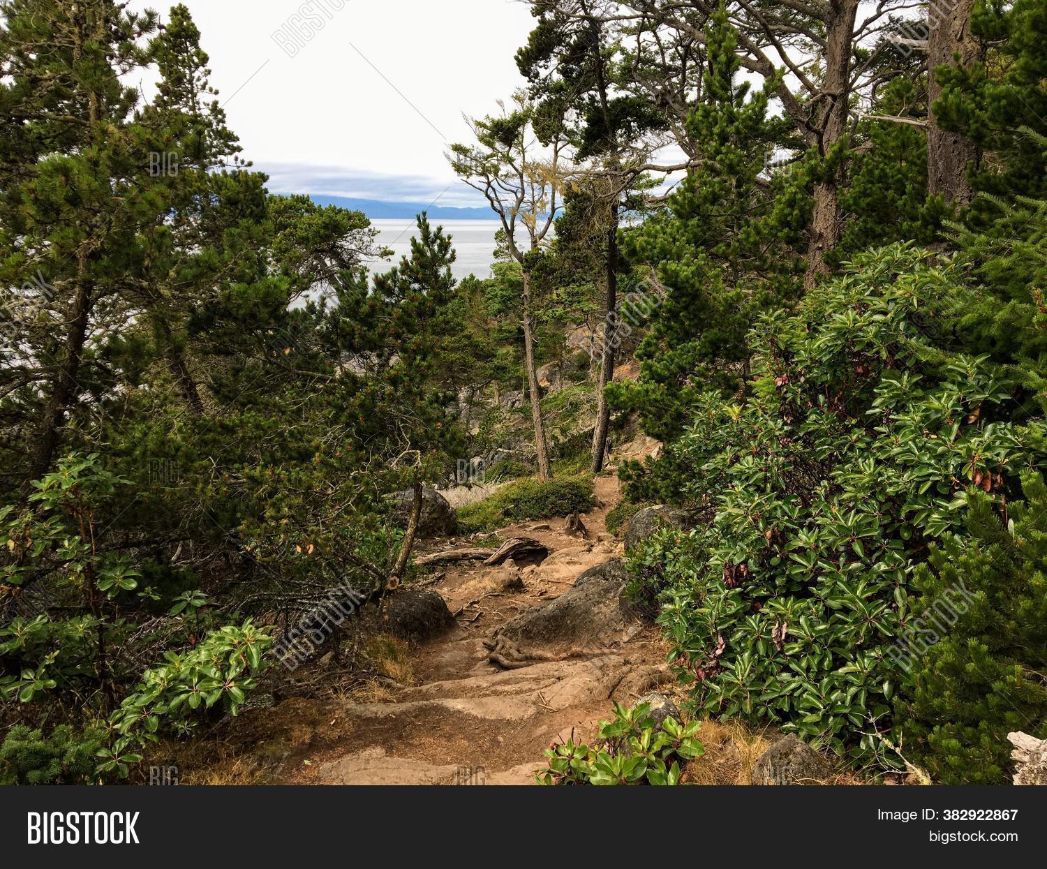 Isolated Photo Image & Photo (Free Trial) | Bigstock