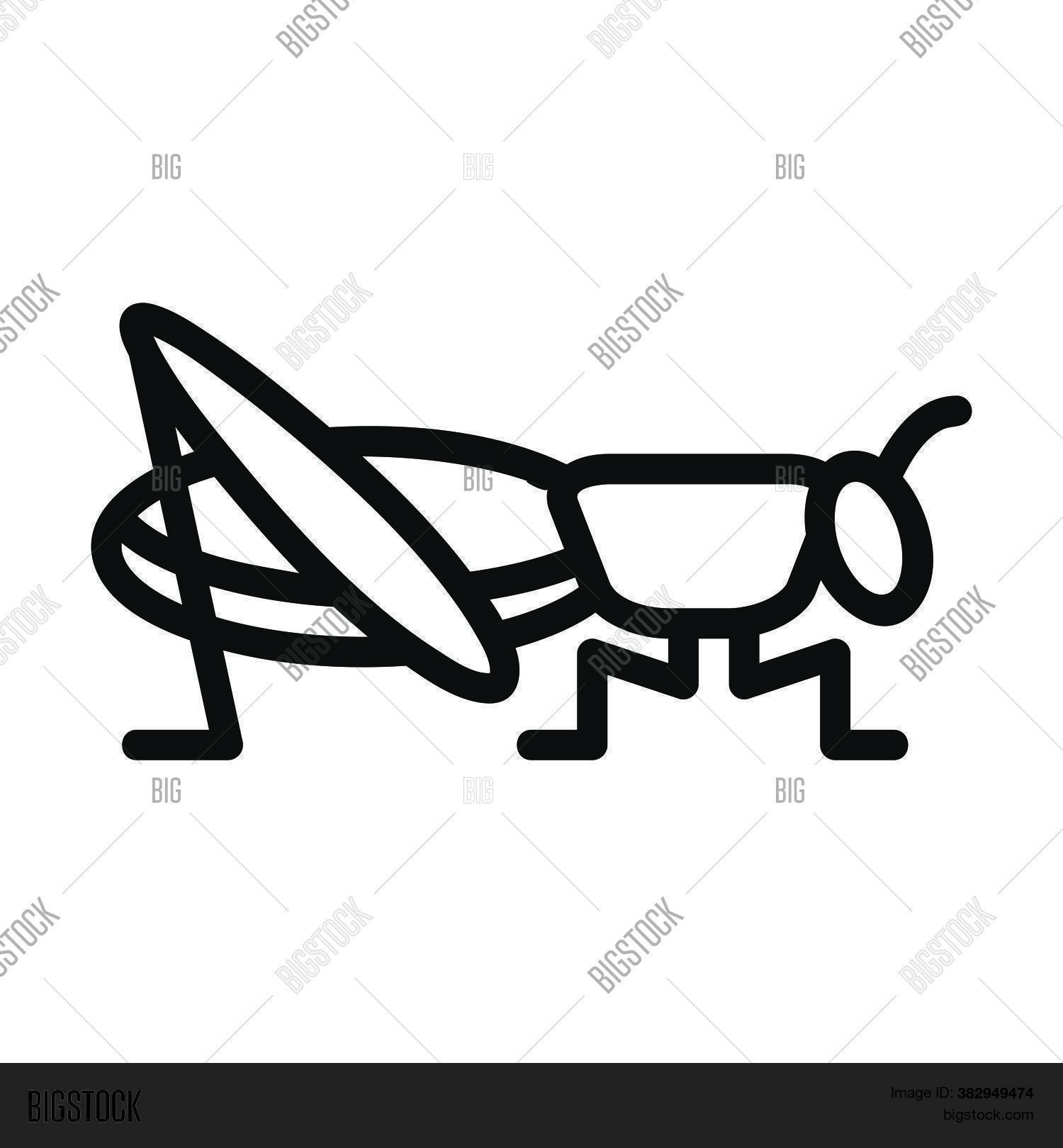 Logo Symbol Vector & Photo (Free Trial) | Bigstock