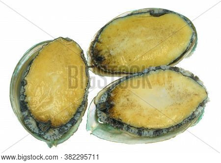 Fresh Raw Abalone Image & Photo (Free Trial) | Bigstock