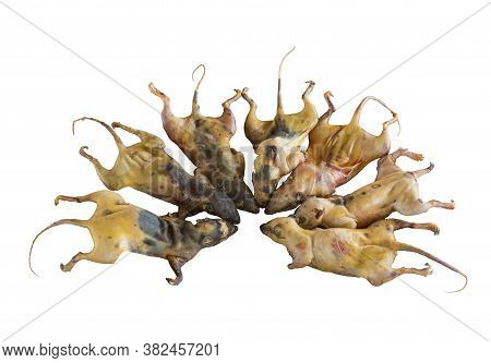Meat Chipmunk Cooking Image & Photo (Free Trial) | Bigstock