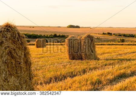Hay Field Images, Illustrations & Vectors (Free) - Bigstock