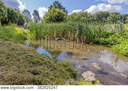 Swampy Land Next Image & Photo (Free Trial) | Bigstock
