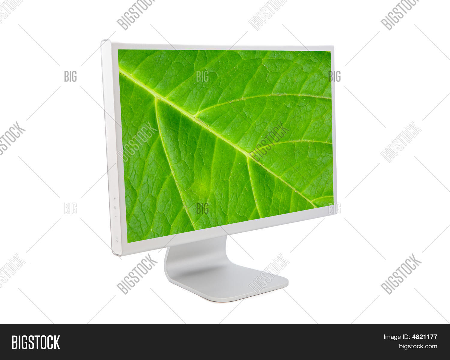 Computer Monitor Leaf Image & Photo (Free Trial) | Bigstock