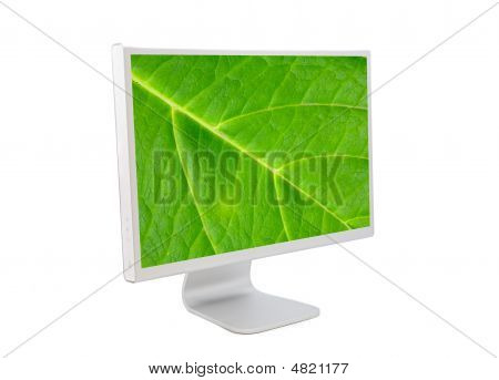 Computer Monitor Leaf Image & Photo (Free Trial) | Bigstock