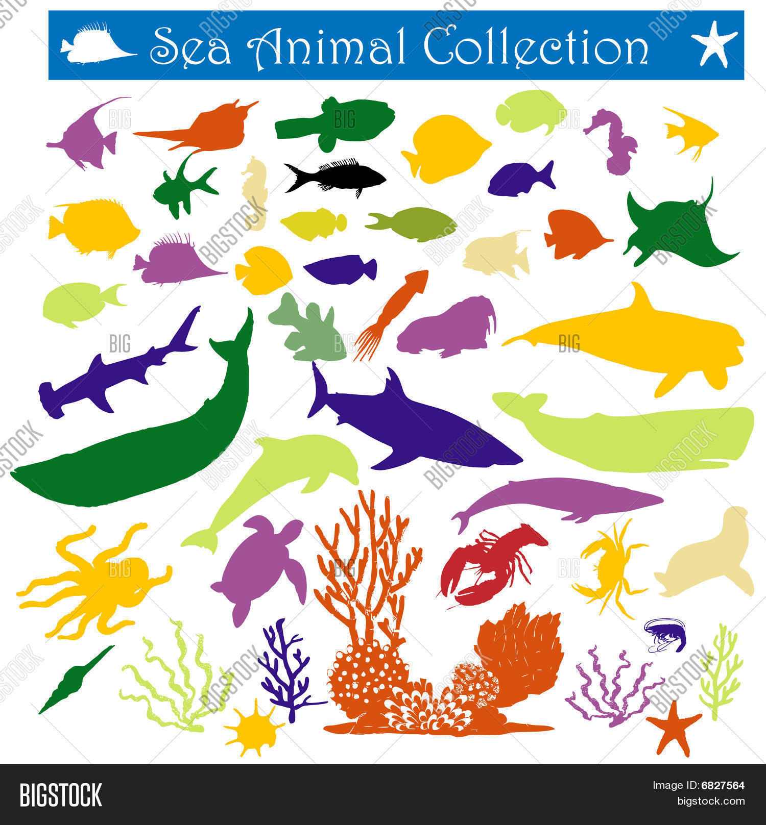 Sea Animals Vector & Photo (Free Trial) | Bigstock