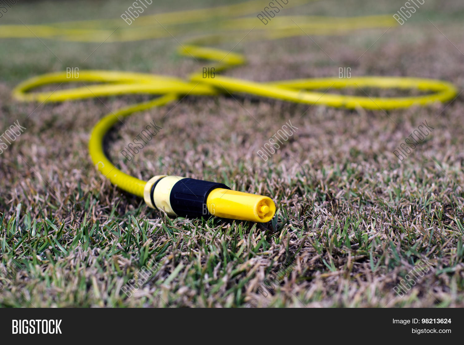 Close Yellow Gardening Image & Photo (Free Trial) | Bigstock