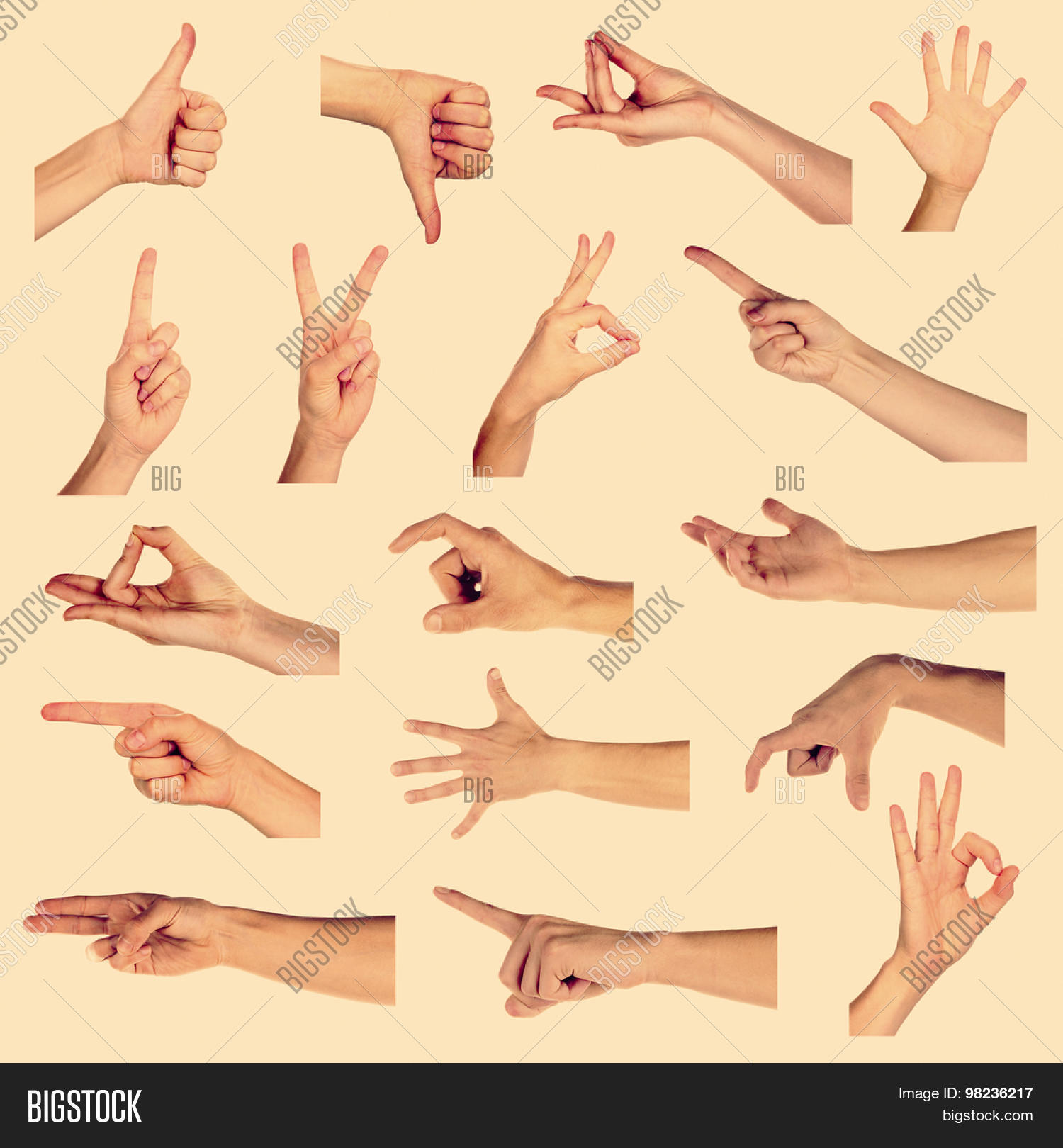 Collage Hands Showing Image & Photo (Free Trial) | Bigstock