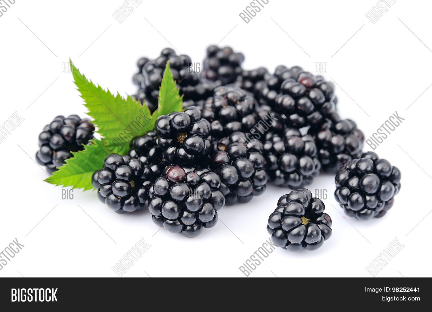 Blackberry Image & Photo (Free Trial) | Bigstock