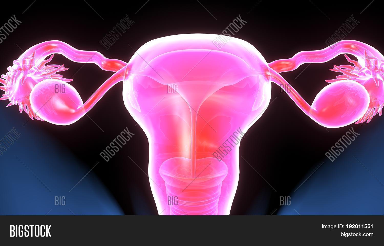 3D Illustration Female Image & Photo (Free Trial) | Bigstock
