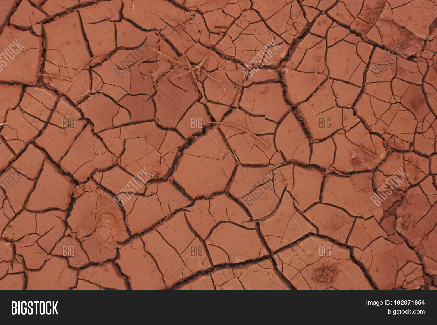 Argil Texture That Can Image & Photo (Free Trial) | Bigstock