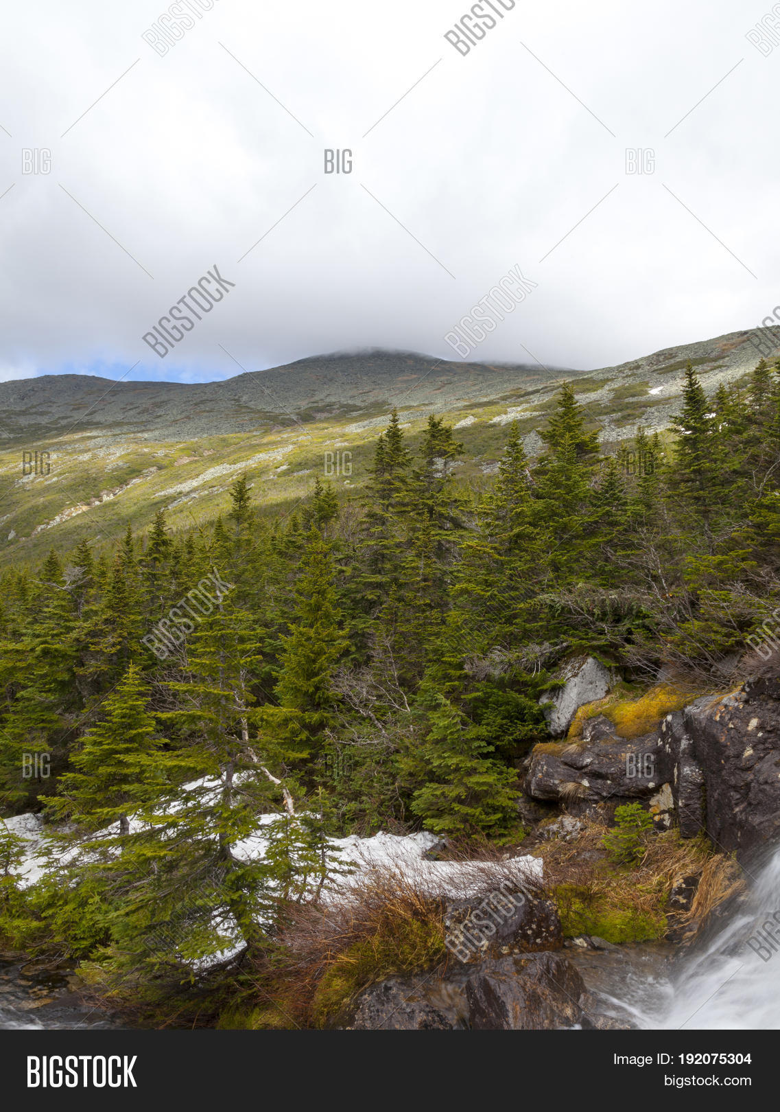 View Top Mount Image & Photo (Free Trial) | Bigstock