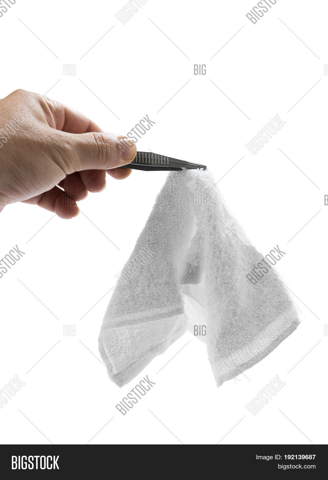 Hand Holding White Image & Photo (Free Trial) | Bigstock