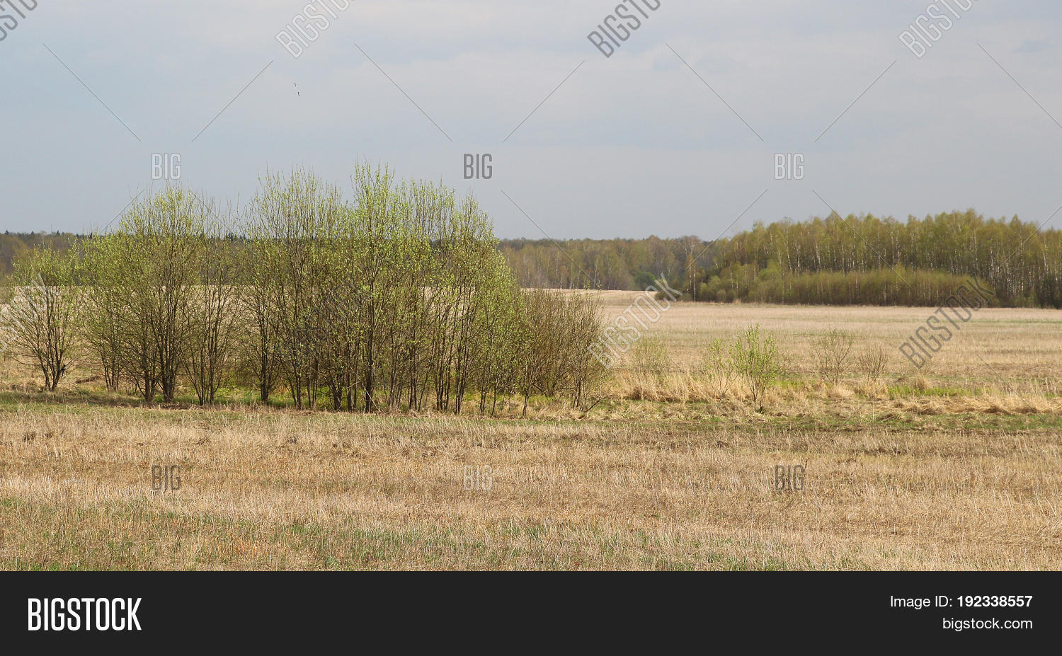 Landscape Early Spring Image & Photo (Free Trial) | Bigstock