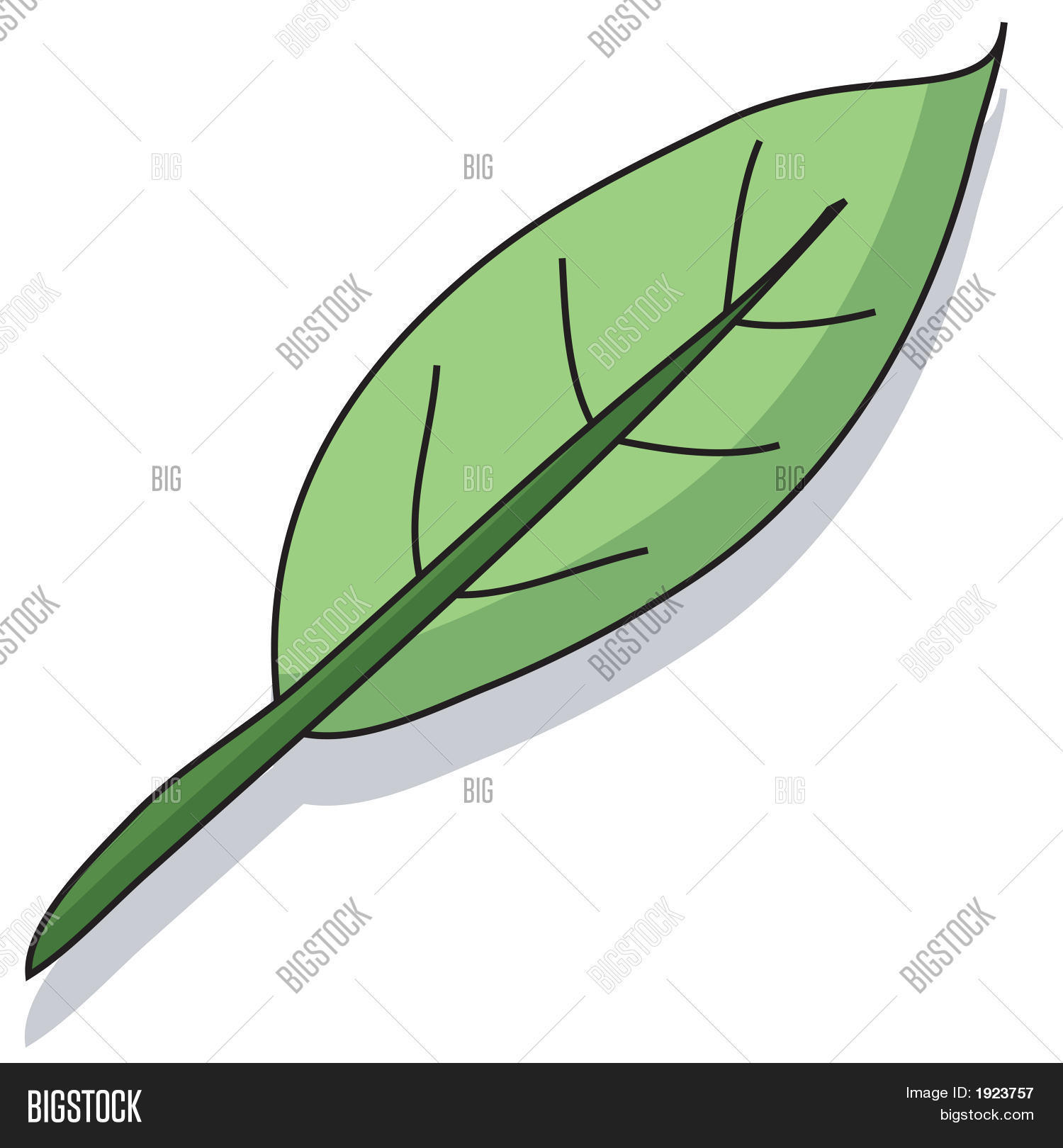 Cartoon Leaf Image & Photo (Free Trial) | Bigstock