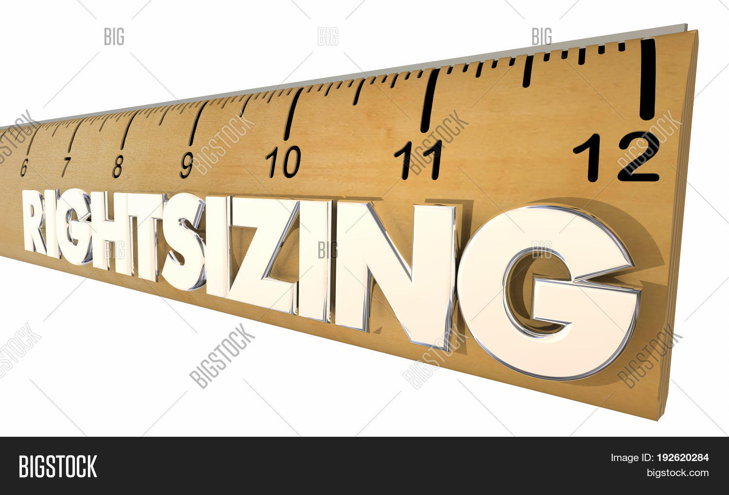 RIghtsizing Ruler Image & Photo (Free Trial) | Bigstock
