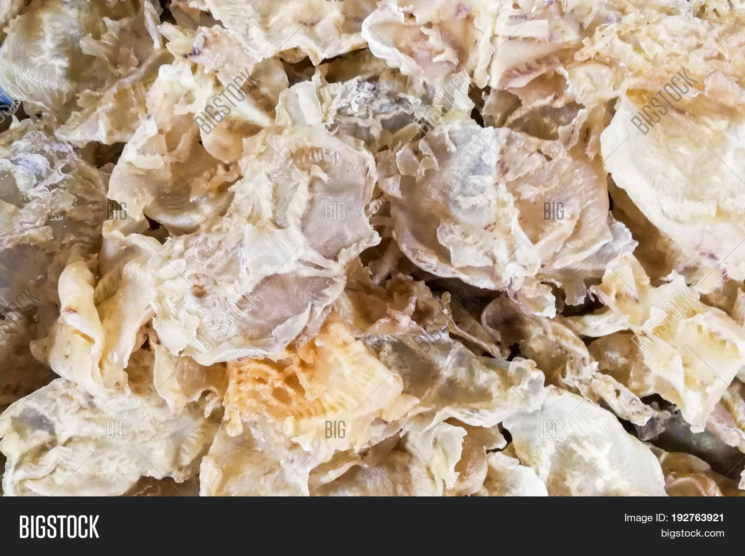 Dried Fish Maw Bladder Image & Photo (Free Trial) | Bigstock