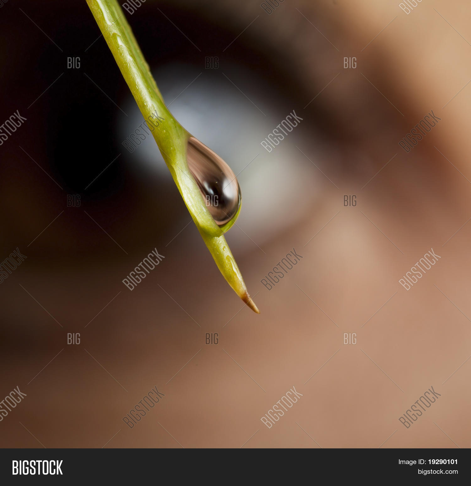 Reflection Eye Droplet Image & Photo (Free Trial) | Bigstock