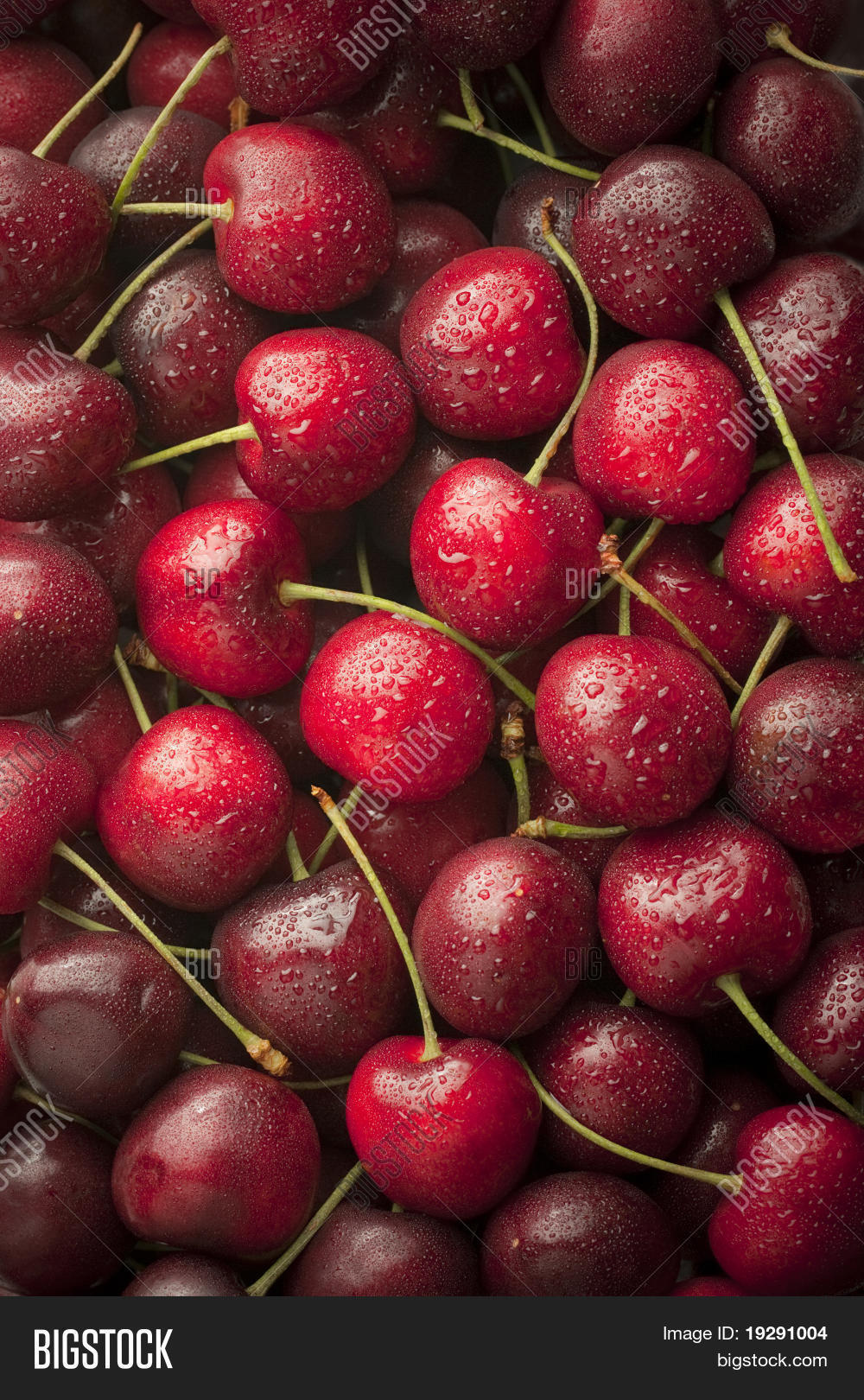 Fresh Washed Cherries Image & Photo (Free Trial) | Bigstock