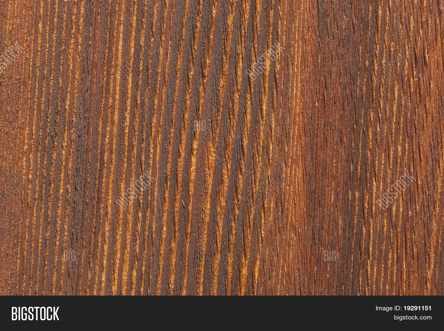 Extreme Close Pine Image & Photo (Free Trial) | Bigstock