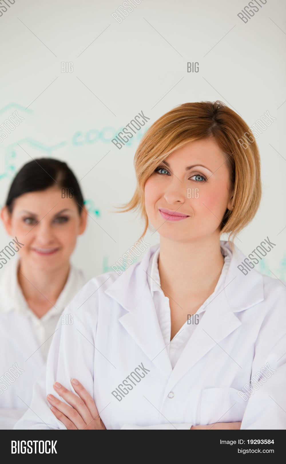 Two Attractive Women Image & Photo (Free Trial) | Bigstock
