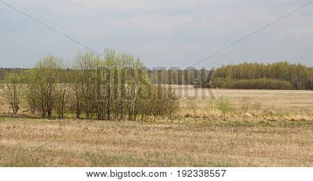 Landscape Early Spring Image & Photo (Free Trial) | Bigstock