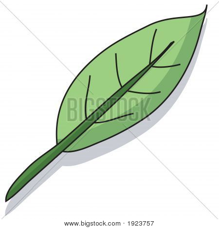 Cartoon Leaf Image & Photo (Free Trial) | Bigstock