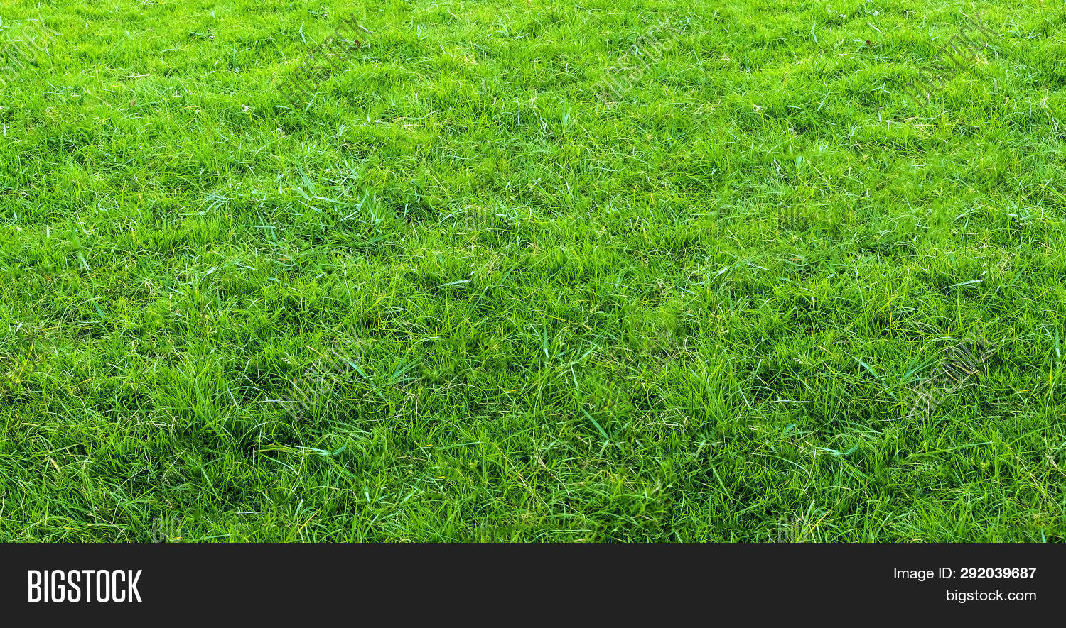 Landscape Grass Field Image & Photo (Free Trial) | Bigstock