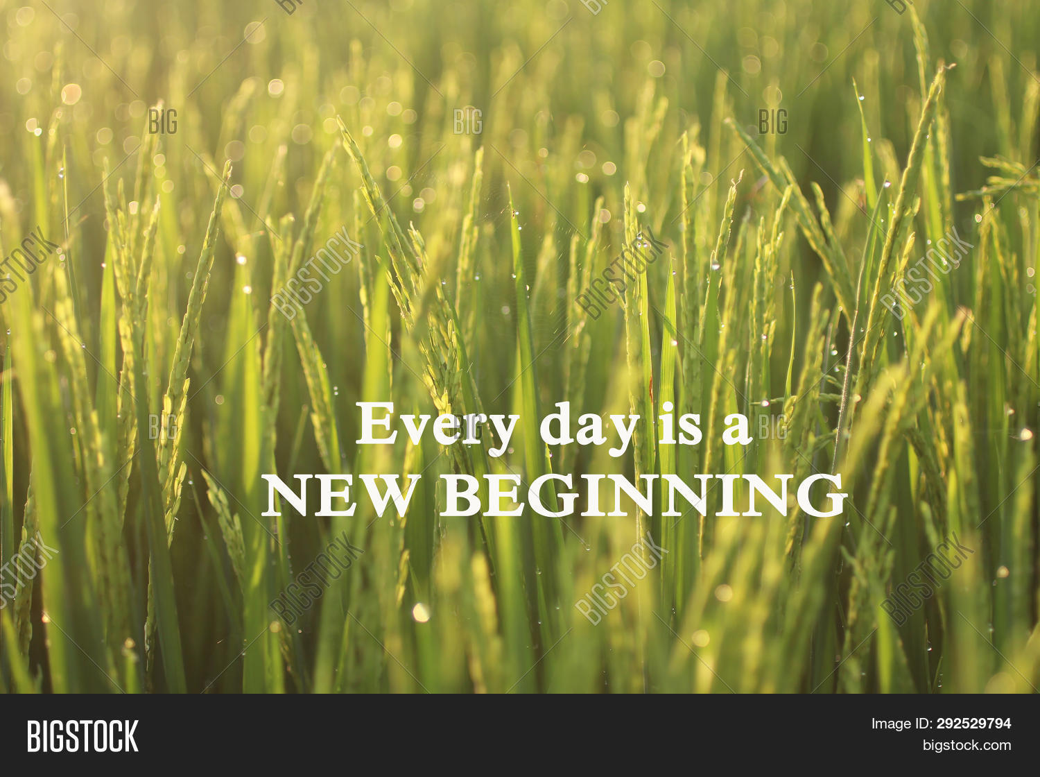 Crop Quotes Quote By Angela Gwinner: "It Is A Beautiful New ..."