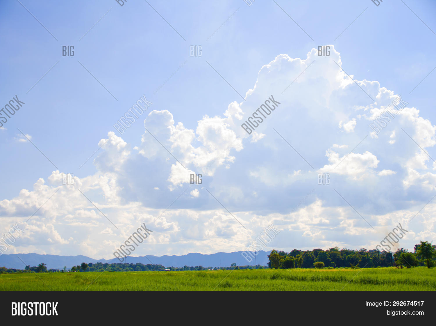 Wide Field Farming Image & Photo (Free Trial) | Bigstock