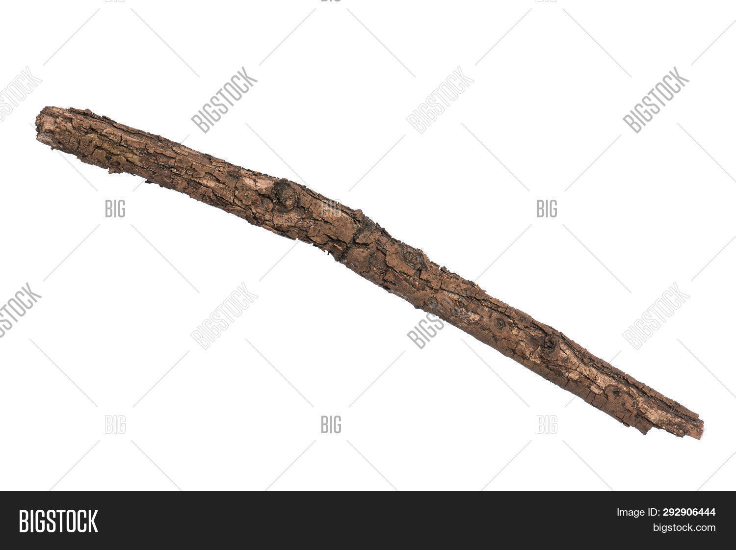 Single Dry Tree Branch Image & Photo (Free Trial) | Bigstock