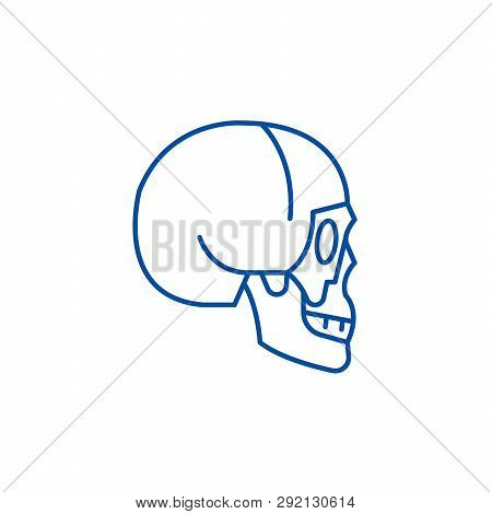 Skull Side View Line Vector & Photo (Free Trial) | Bigstock
