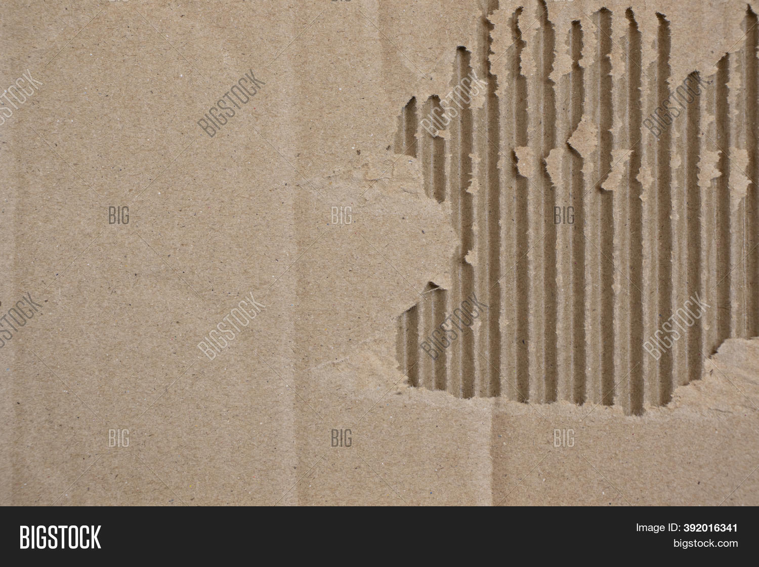 Brown Paper Texture Image & Photo (Free Trial) | Bigstock