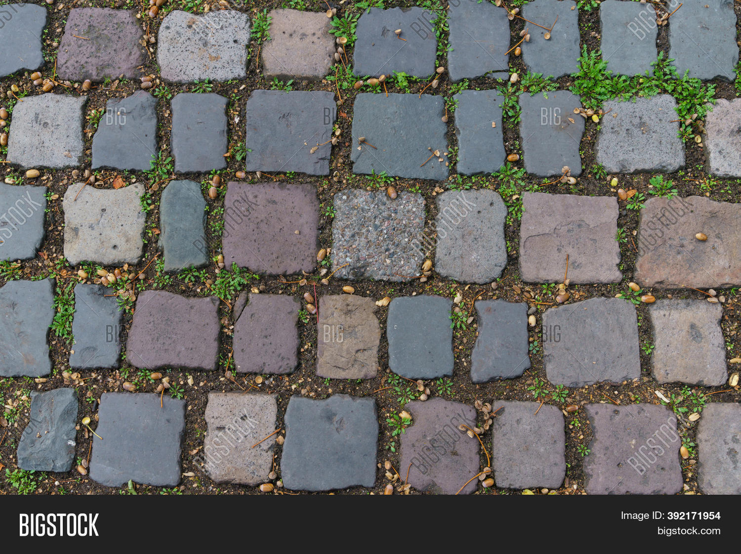 Pavement Paved Square Image & Photo (Free Trial) | Bigstock