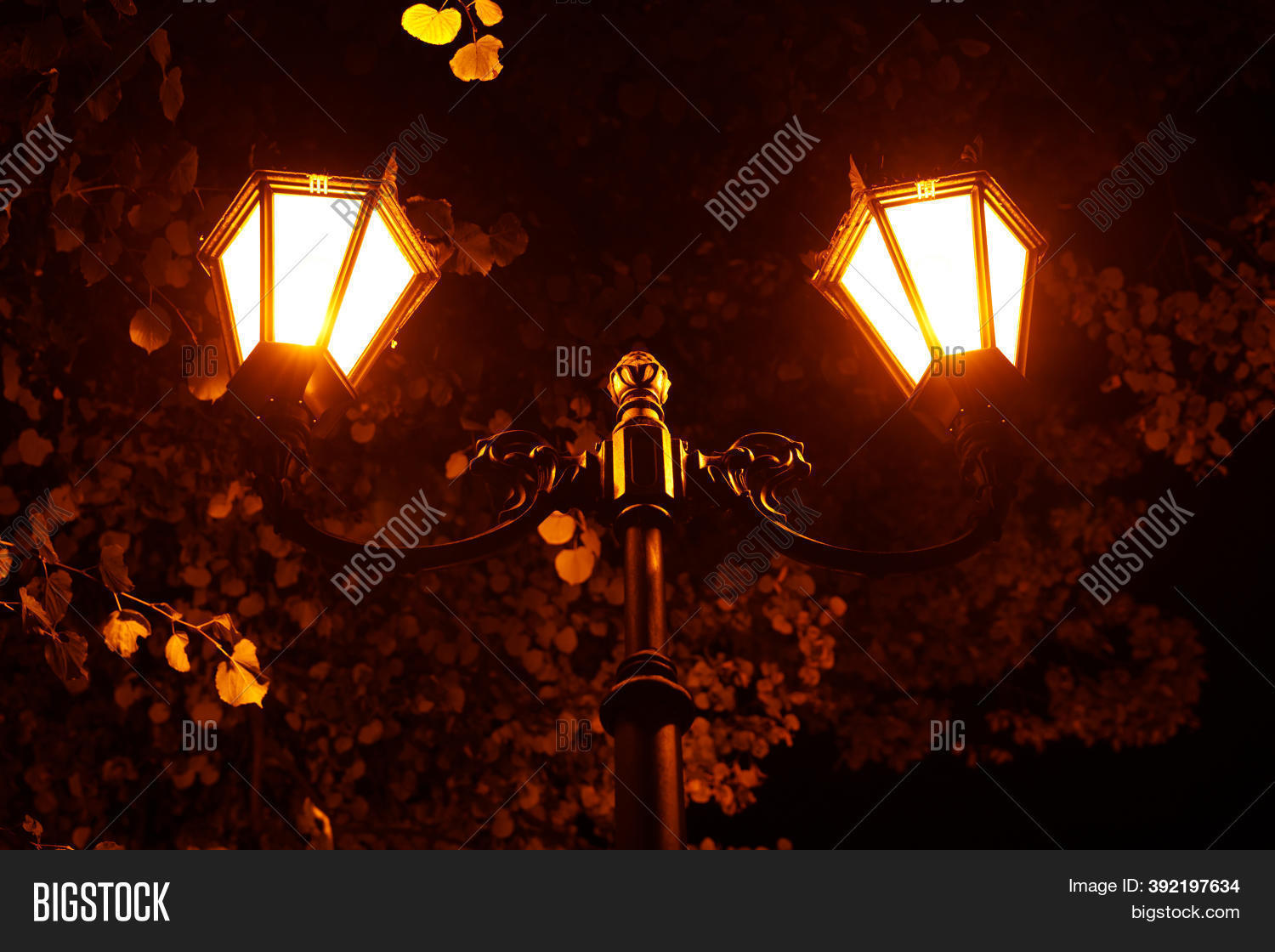 Beautiful Glowing Image & Photo (Free Trial) | Bigstock