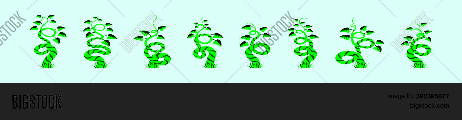 Set Beanstalk Cartoon Vector & Photo (Free Trial) | Bigstock