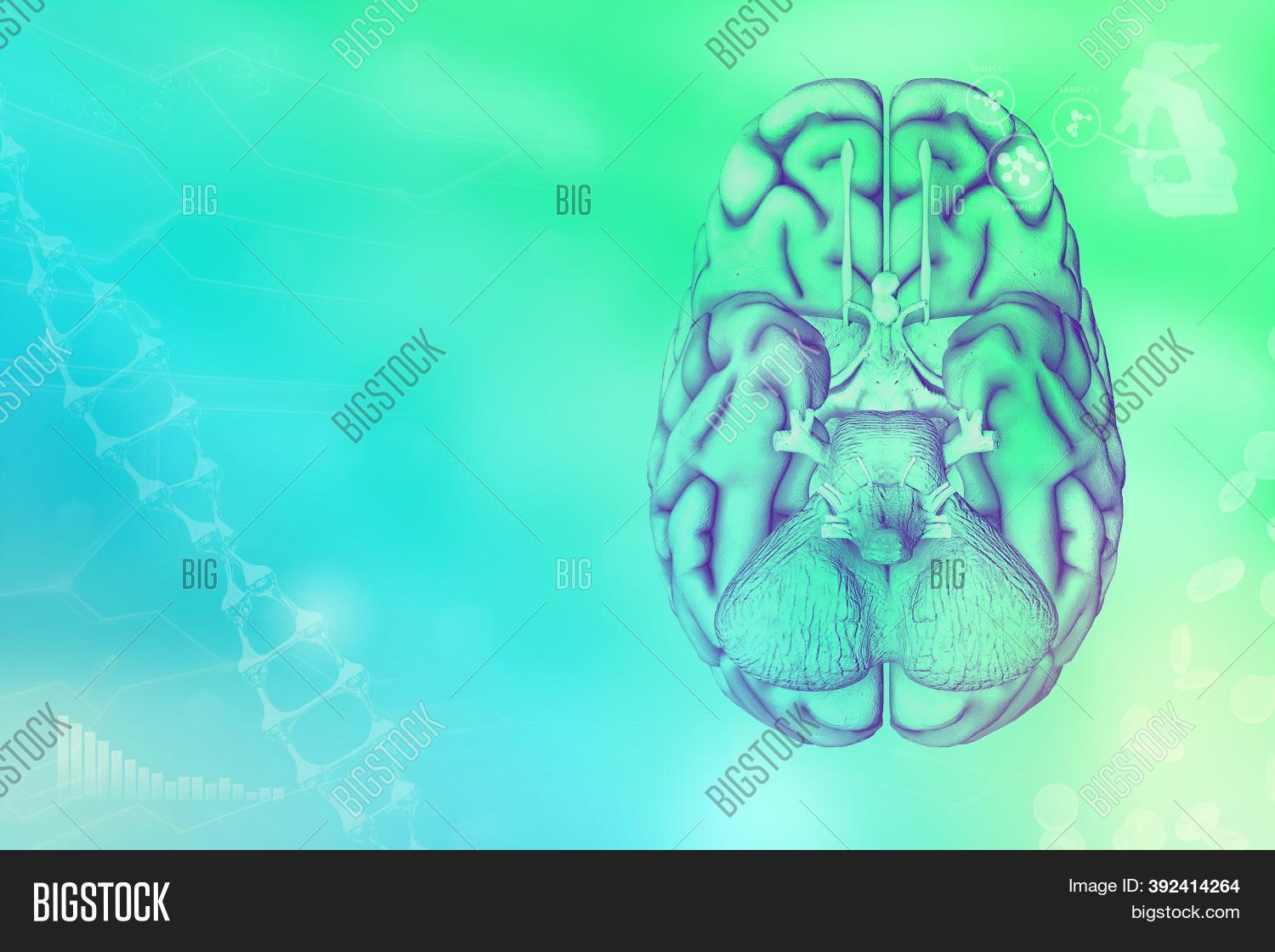 Medical 3d Image & Photo (Free Trial) | Bigstock
