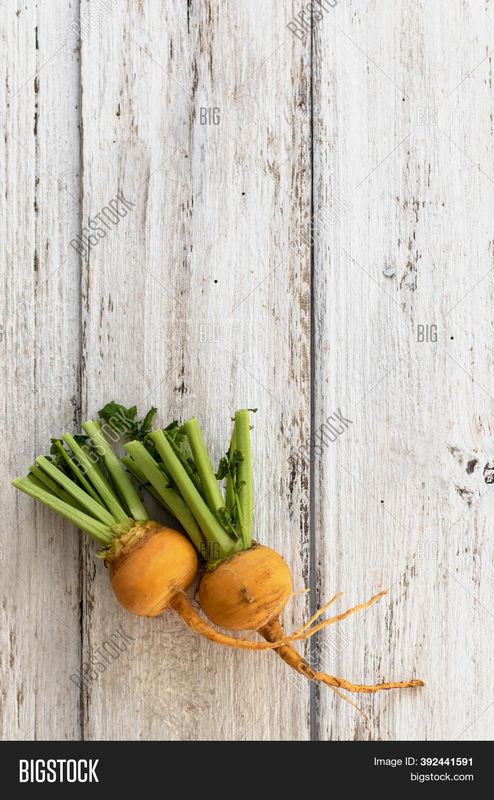 Two Yellow Turnip Image & Photo (Free Trial) | Bigstock