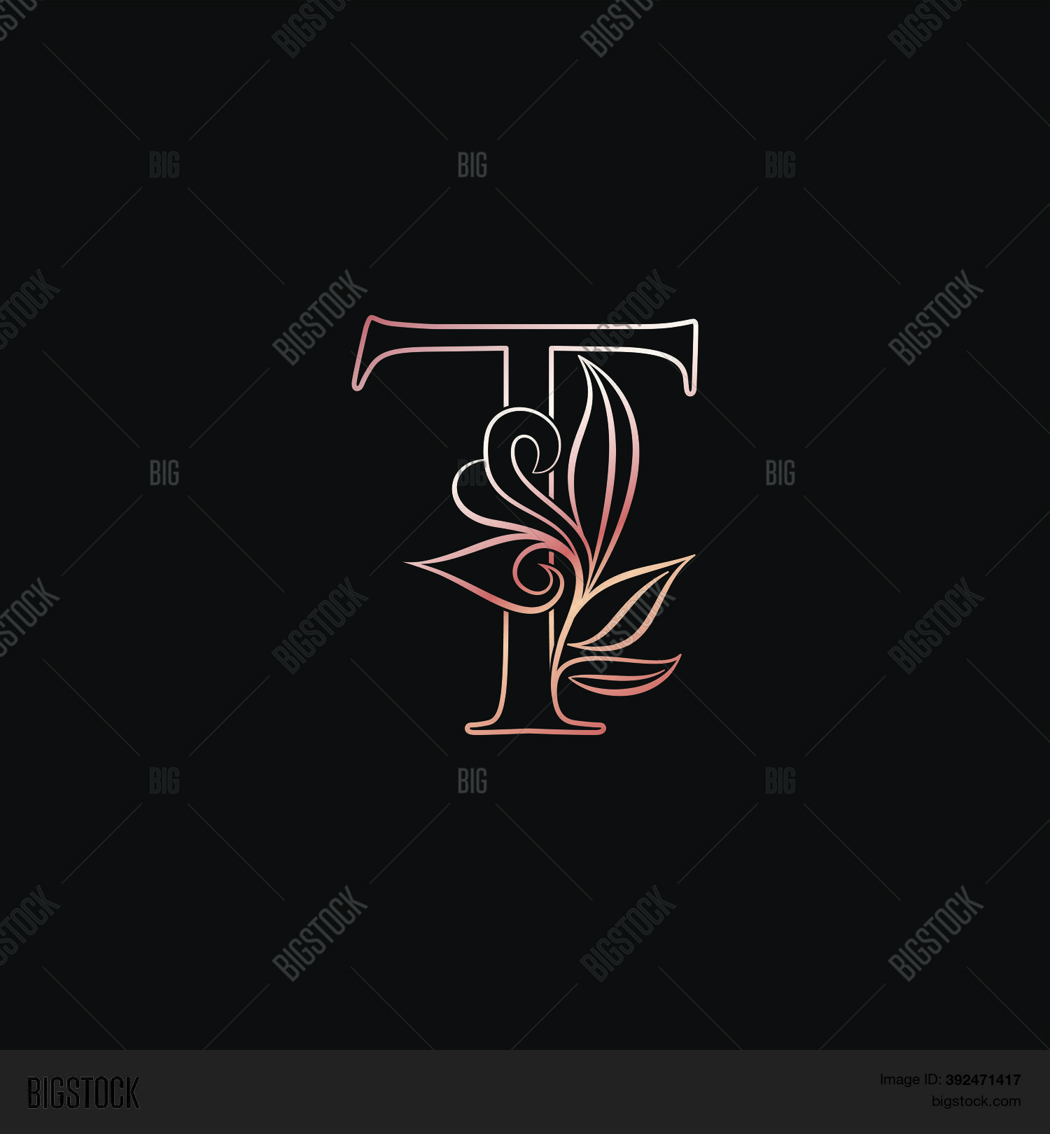 Gold Rose Outline Vector & Photo (Free Trial) | Bigstock
