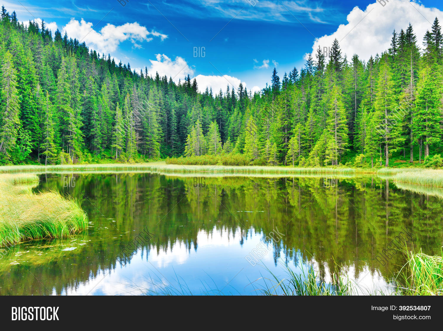 Blue Water Forest Lake Image & Photo (Free Trial) | Bigstock