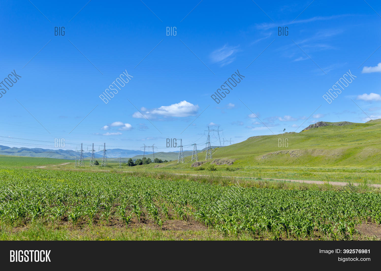Beautiful Green Spring Image & Photo (Free Trial) | Bigstock