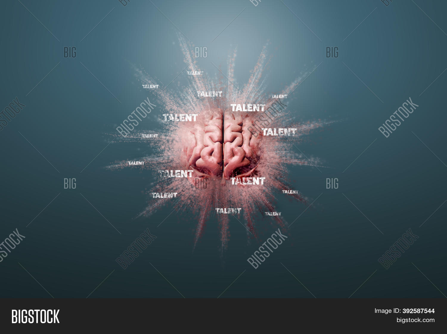 Talent Your Brain Image & Photo (Free Trial) | Bigstock