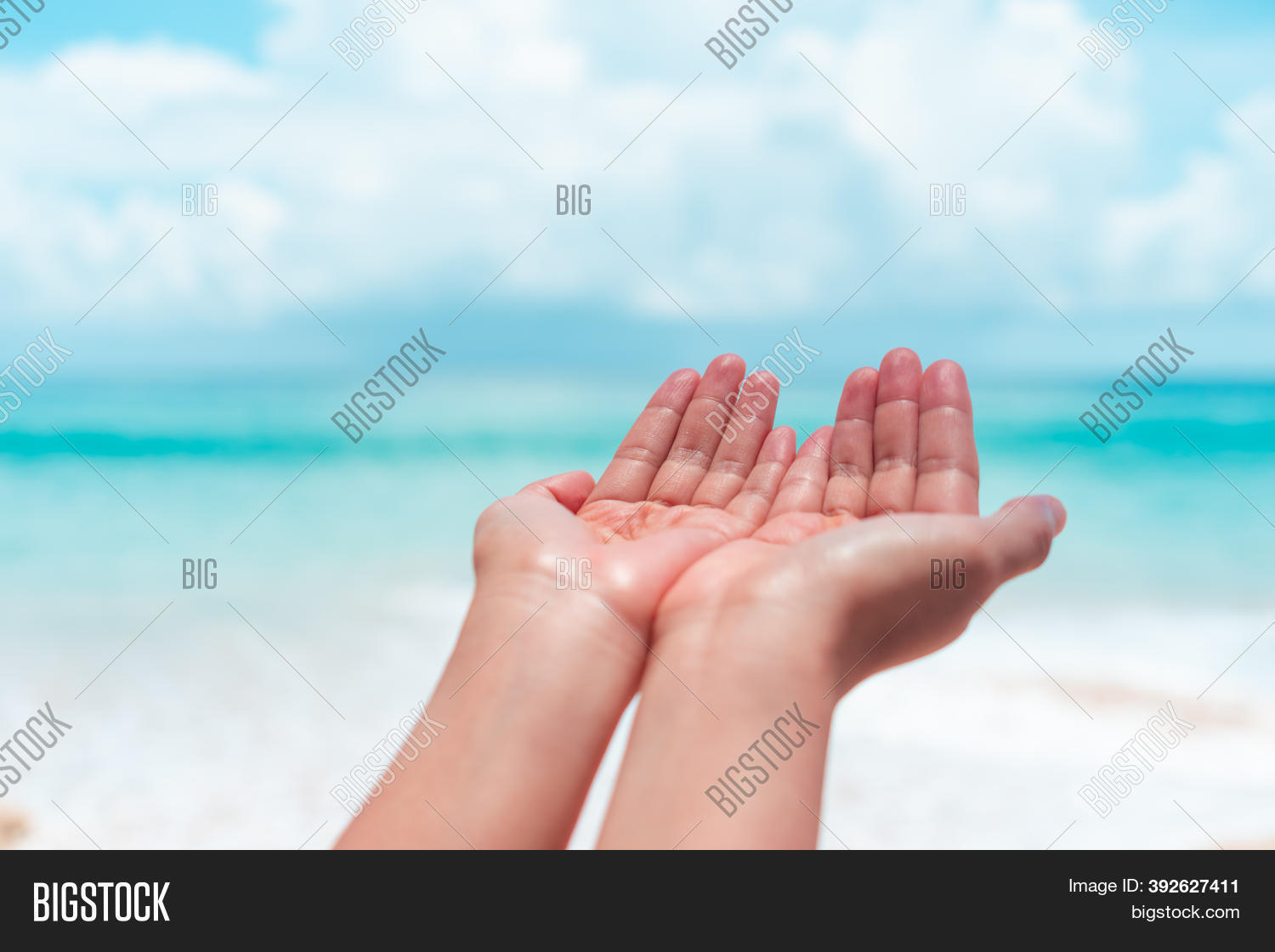 Woman Hands Place Image & Photo (Free Trial) | Bigstock