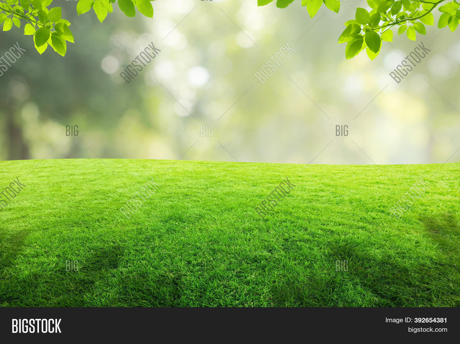 Green Natural View Image & Photo (Free Trial) | Bigstock