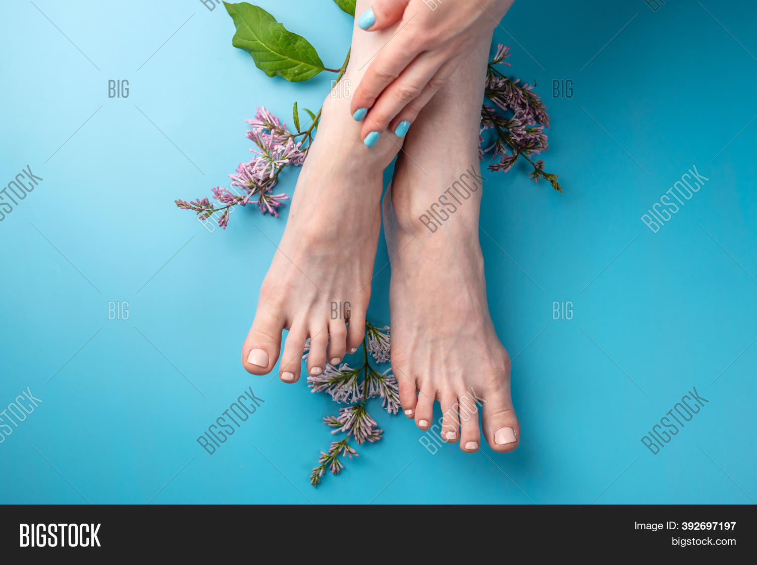 Beautiful Womens Feet Image & Photo (Free Trial) | Bigstock
